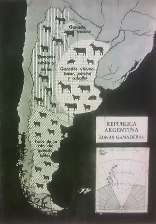 Eradication and Settler-Colonialism in Tierra del Fuego – Afternatures